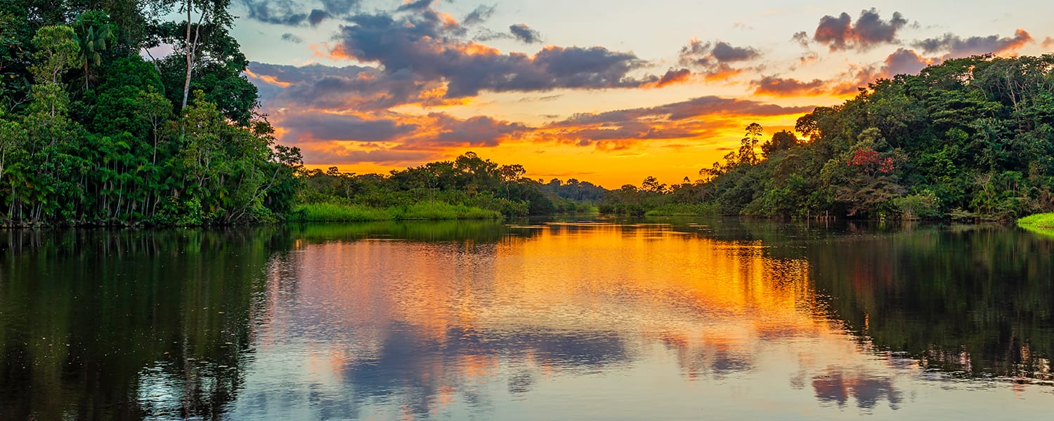 Cheap flights from Brazil to Guyana with the best fare
